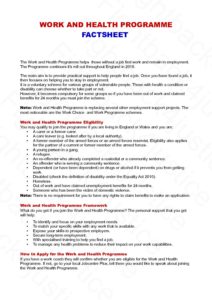 » Work and Health Programme Factsheet