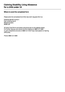 » Well Completed DLA Form. Irlen Syndrome, ADHD.